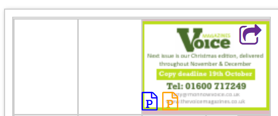 Using Company Flags – MagManager